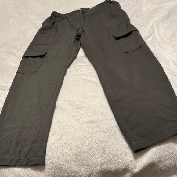 Max Studio | Pants & Jumpsuits | New Max Studio Charcoal Cargo Pants ...